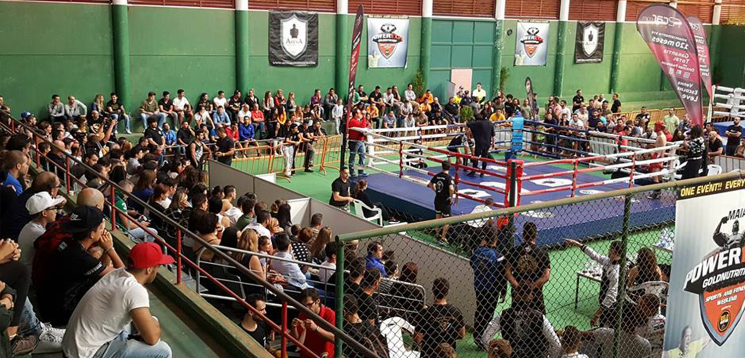 BOXE GOLDEN GLOVES PORTUGAL - Inside Sports